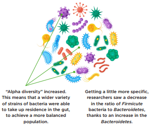 Benefits of Bacillus Subtilus (DE111) - The Gut Health Protocol